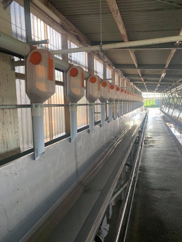 Donald Engineering | Services | Feed Systems | For dairy feed systems ...