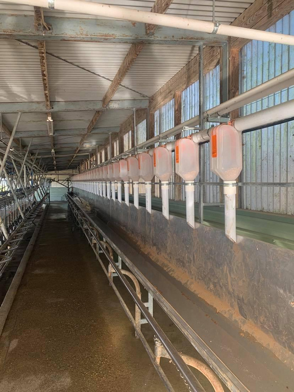 Donald Engineering | Services | Feed Systems | For dairy feed systems ...